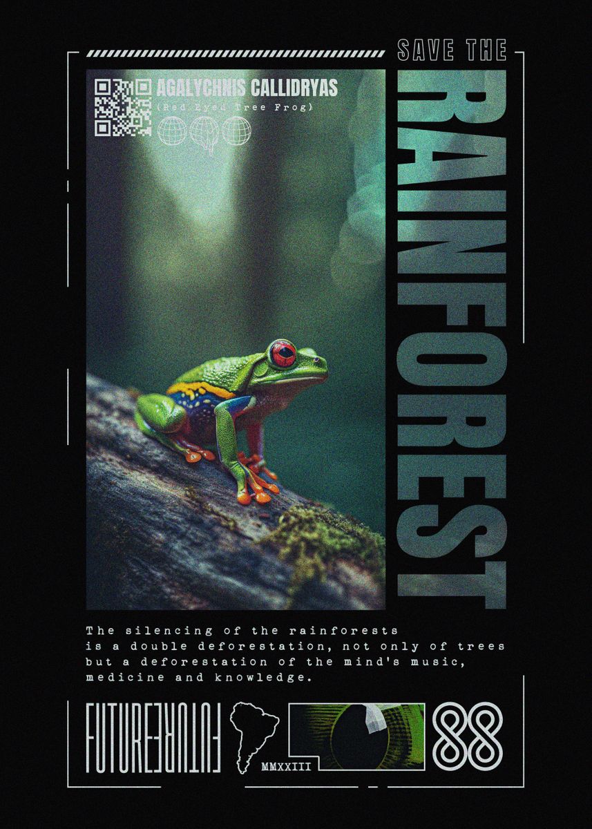 'Red Eyed Tree Frog Nature' Poster, picture, metal print, paint by Jon ...