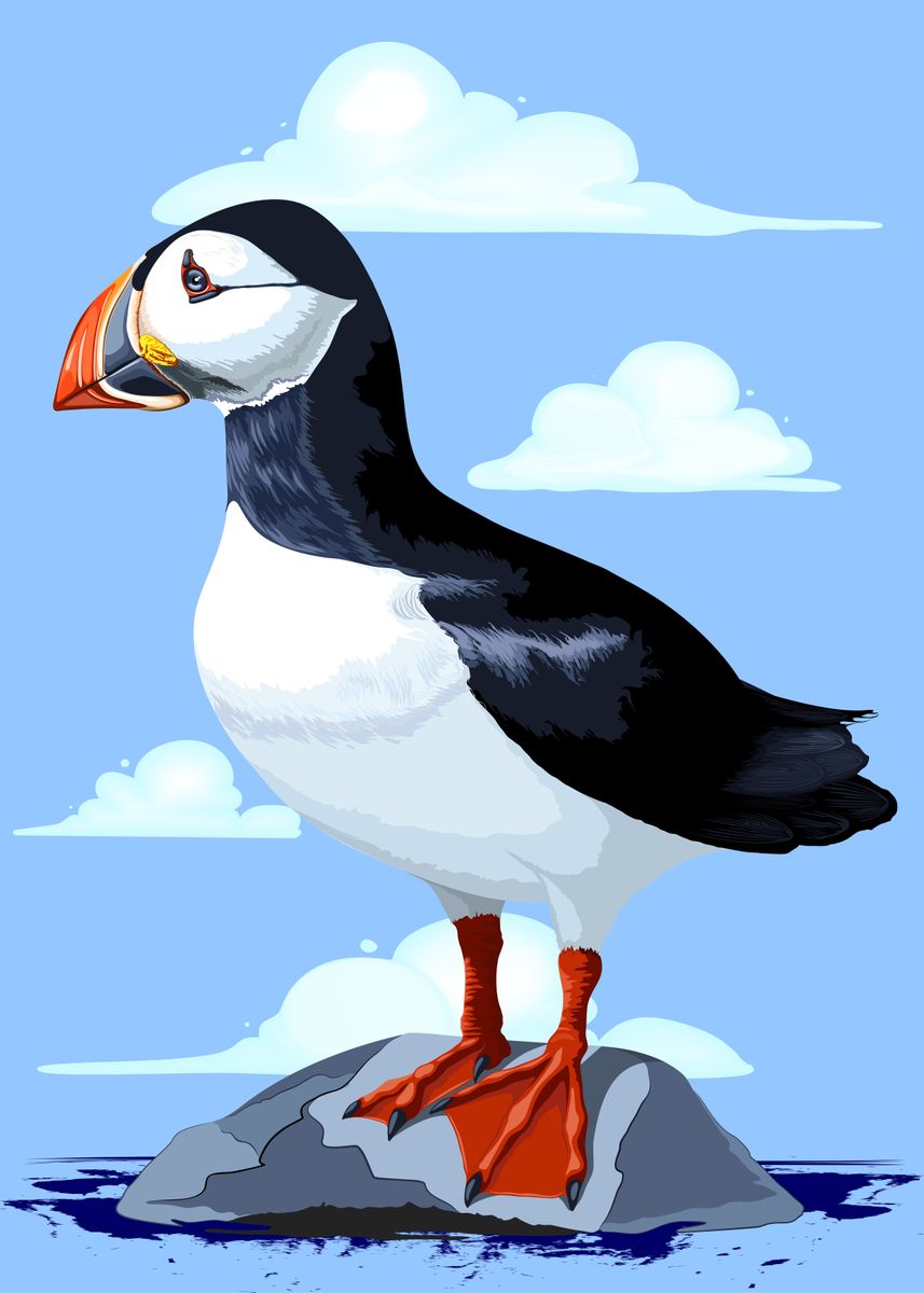 'Puffin Atlantic Seabird' Poster, picture, metal print, paint by ...