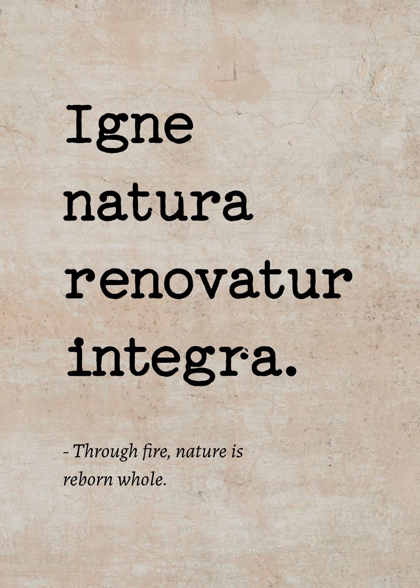 'Latin Quote Through Fire' Poster, picture, metal print, paint by ...