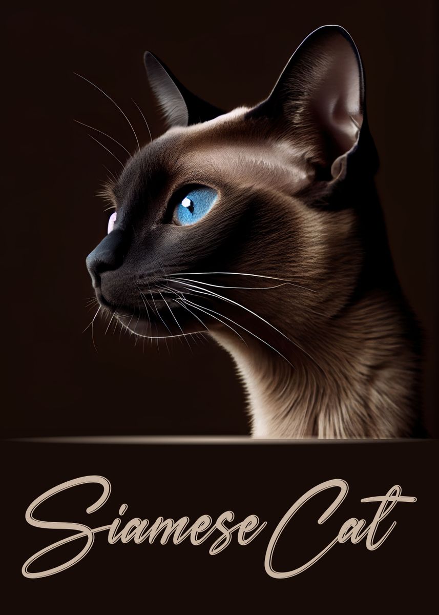 'Siamese Cat' Poster, picture, metal print, paint by Artistic Paradigms ...
