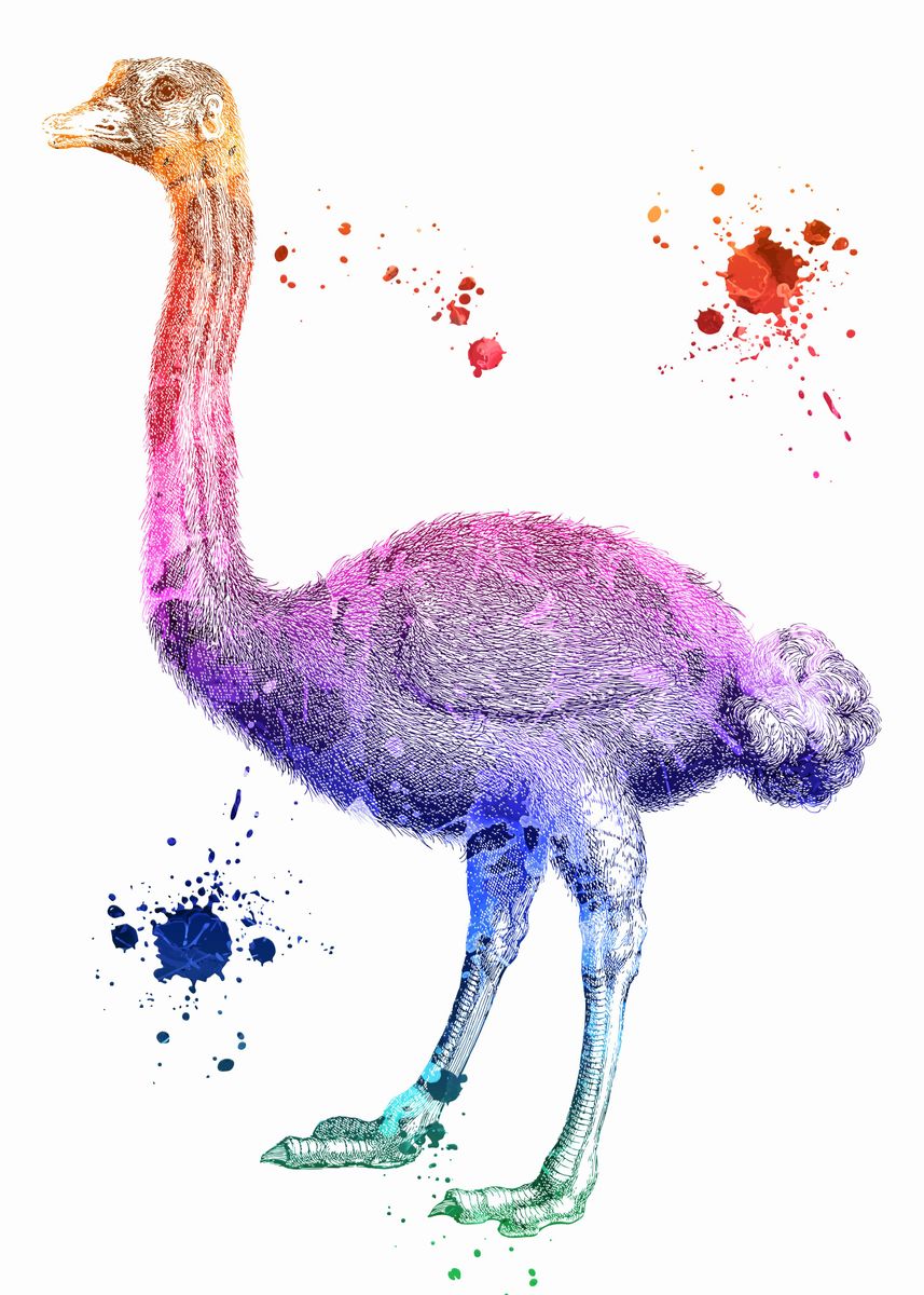 'Ostrich' Poster, picture, metal print, paint by Morgan Moorhead | Displate