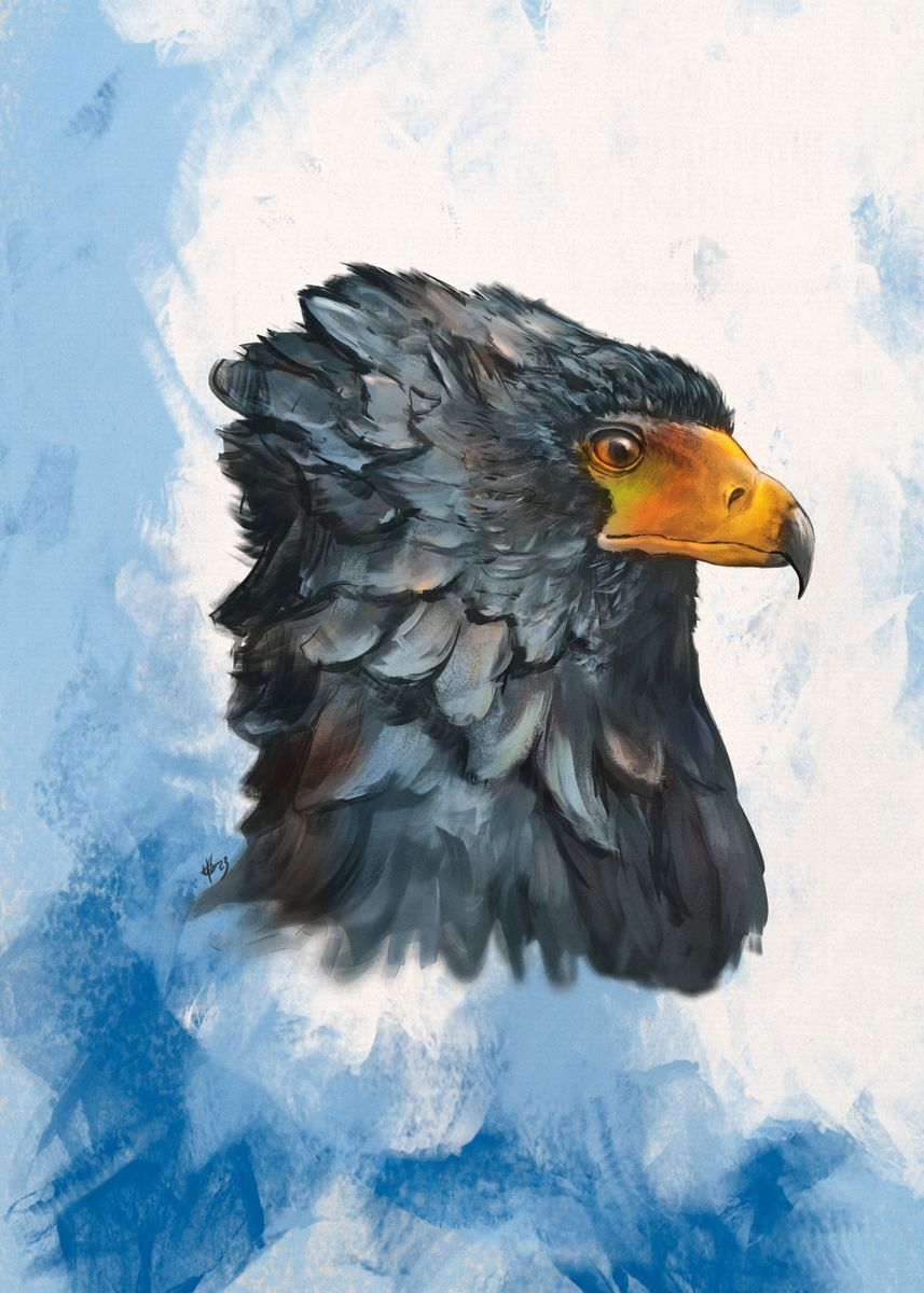 'Bateleur African Eagle' Poster, picture, metal print, paint by HGL ...