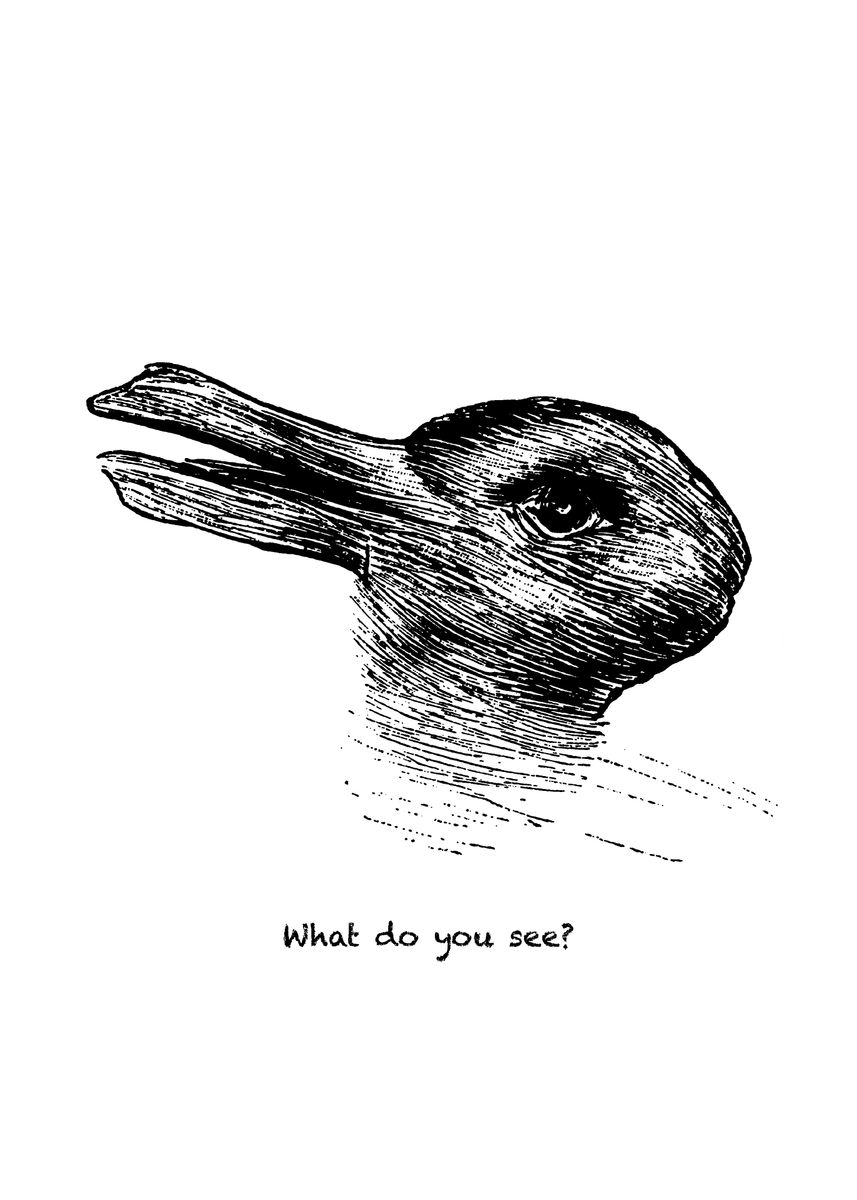 'Rabbit vs Duck' Poster, picture, metal print, paint by cypher the ...