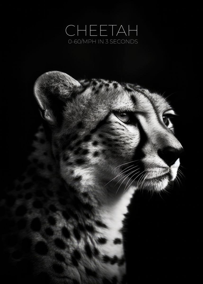 'Cheetah Fastest Animal' Poster by mcmtdesigns | Displate