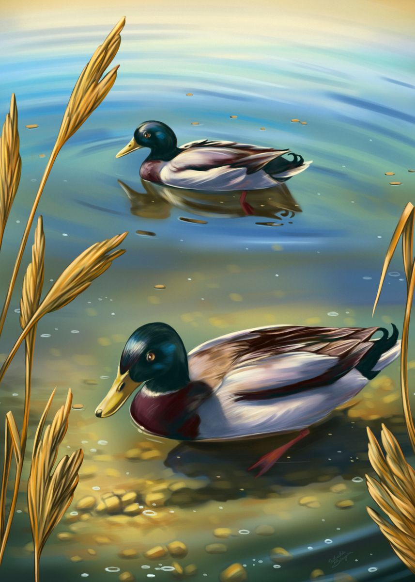'Spring ducks' Poster, picture, metal print, paint by Natalia Synegina ...