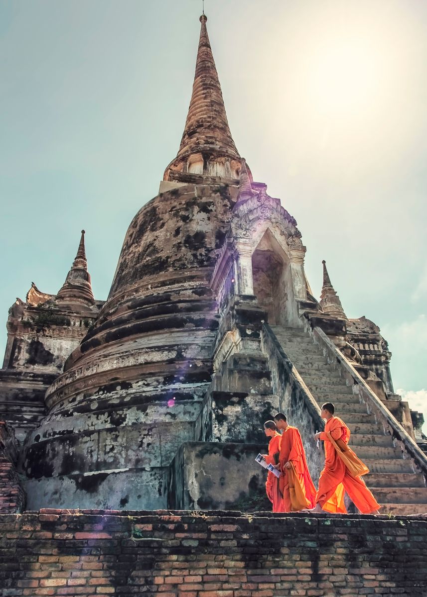 'Monk Life' Poster by Mango Art | Displate