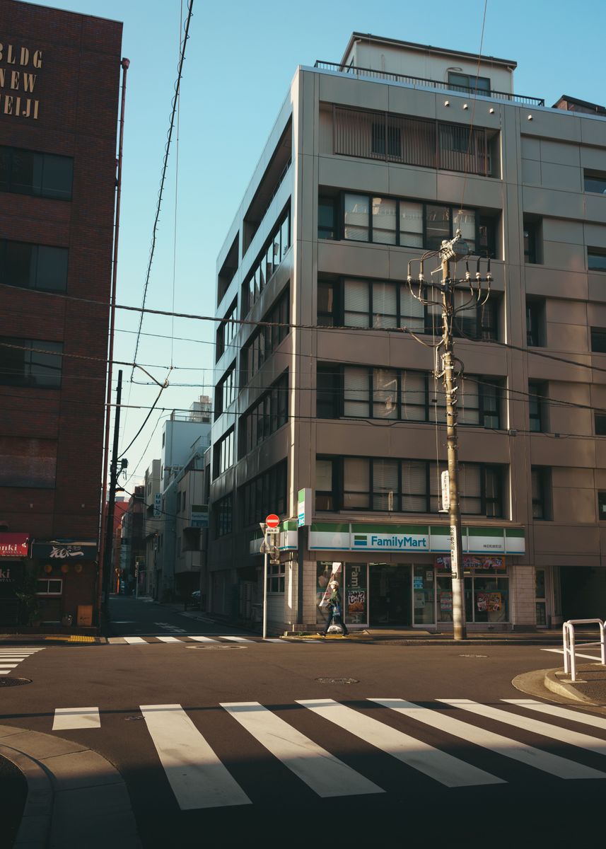 'tokyo street' Poster, picture, metal print, paint by nicolas stempien ...