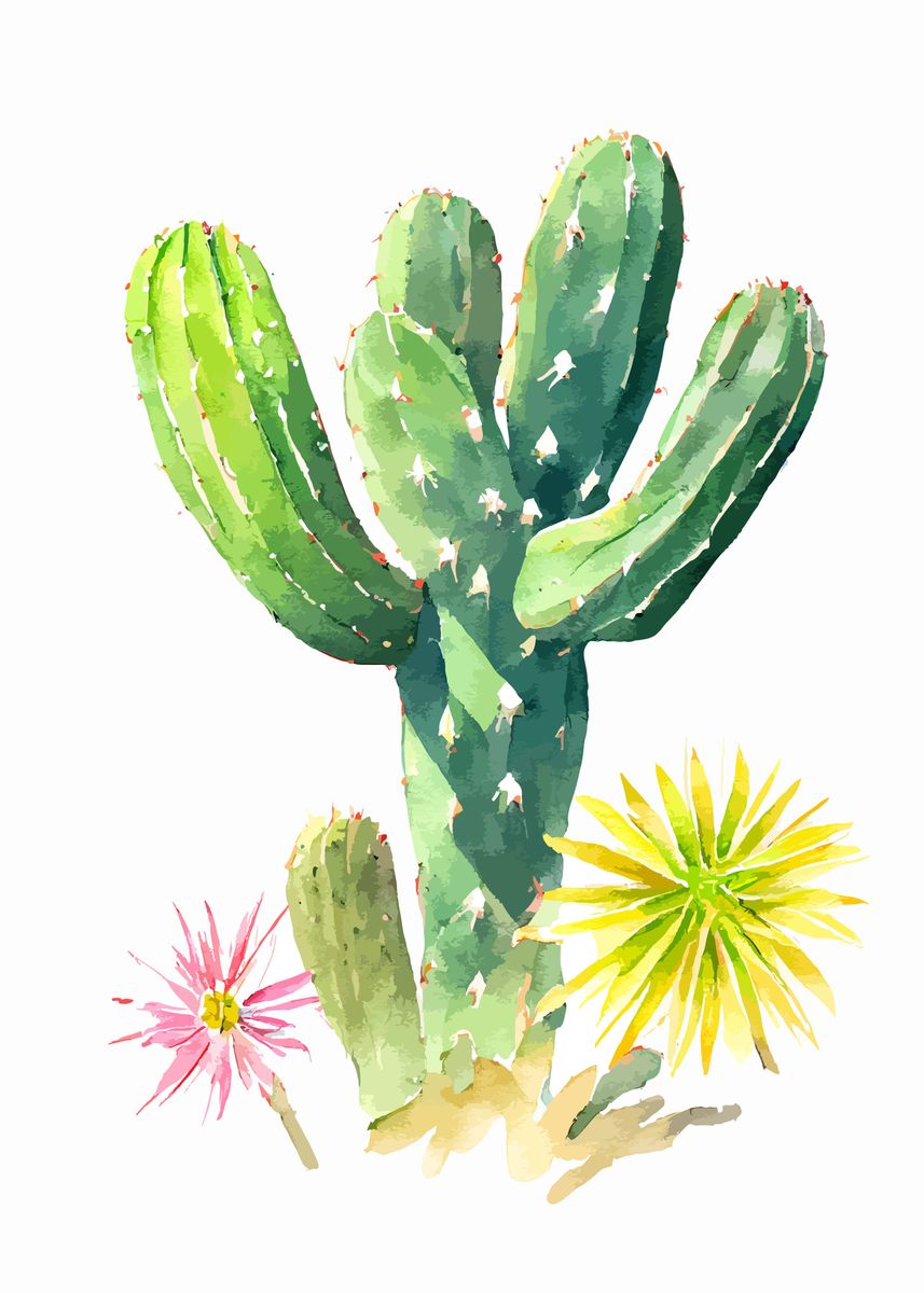 'Cactus Plant' Poster, picture, metal print, paint by jaydenjtu Nature ...