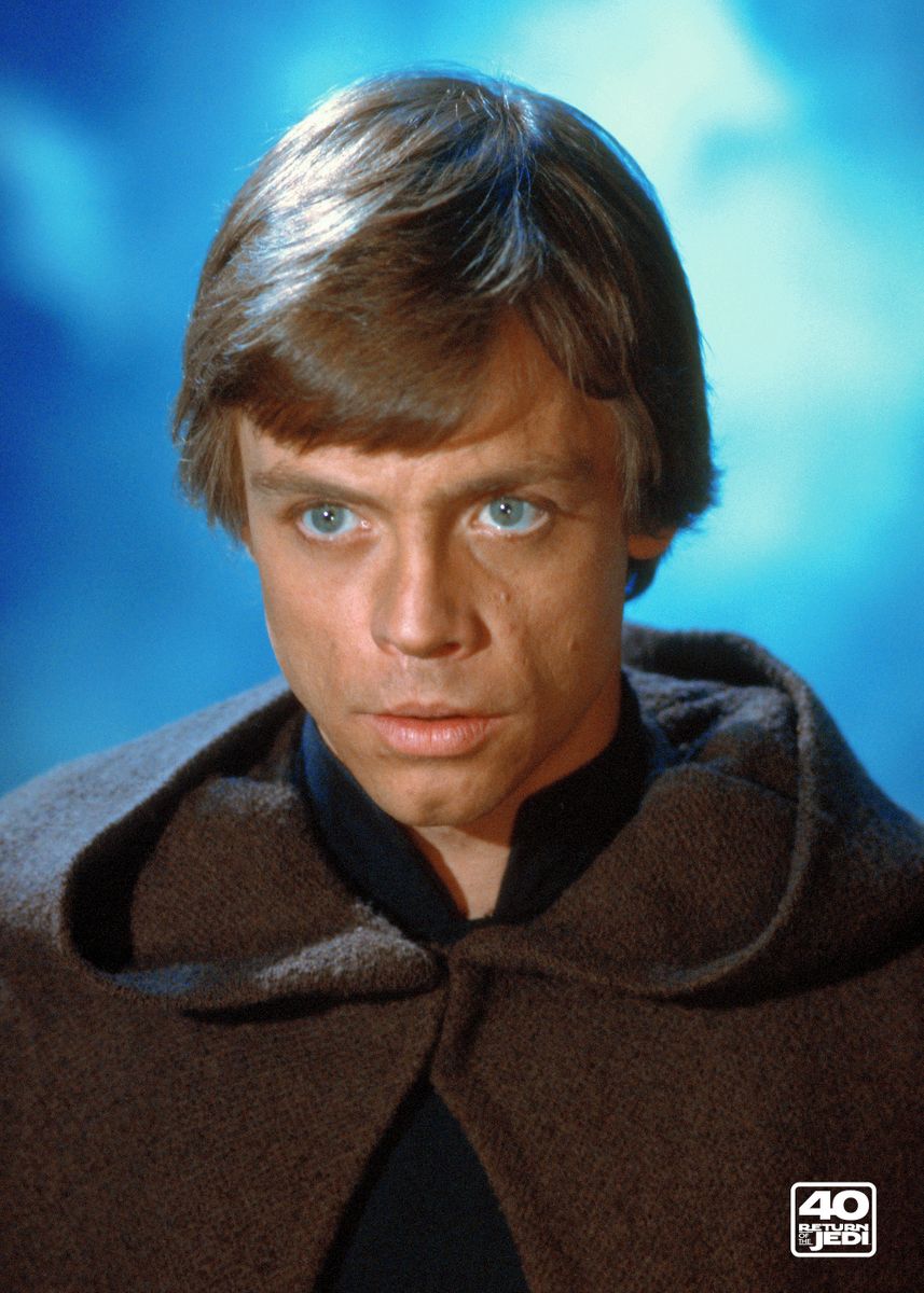 'Luke Skywalker 1' Poster, picture, metal print, paint by Star Wars ...