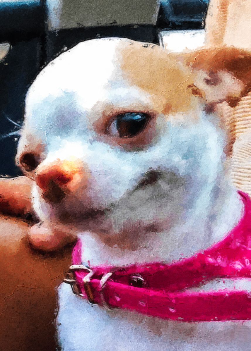 'Dog meme' Poster, picture, metal print, paint by Meme Daily | Displate