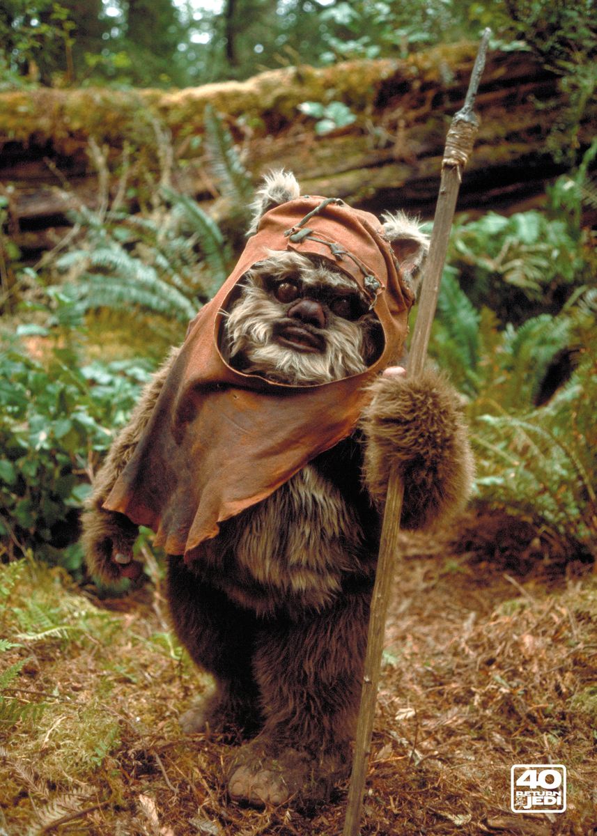 'Ewok 1' Poster, picture, metal print, paint by Star Wars | Displate