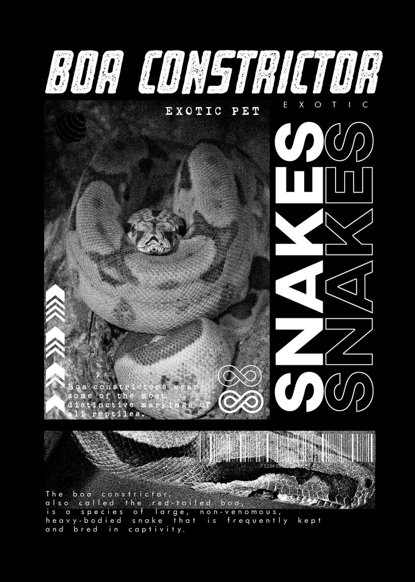 'Boa Constrictor Modern' Poster, picture, metal print, paint by Jon ...