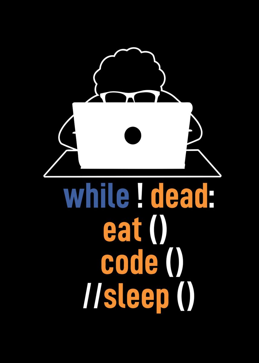 'Programming' Poster, picture, metal print, paint by Funny One Piece ...