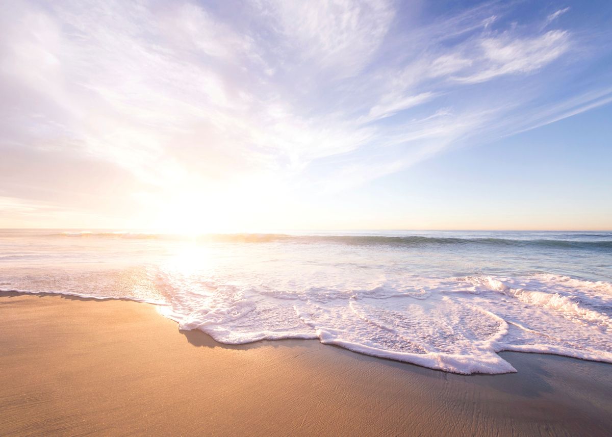 'Beach wall art Sea life' Poster by StoicMindset | Displate