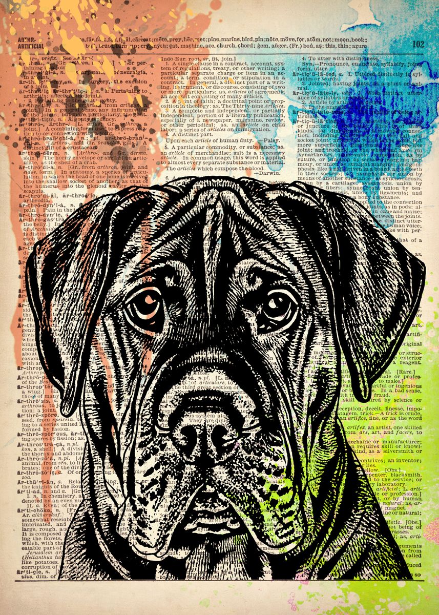 'Boerboel Dog line drawing ' Poster, picture, metal print, paint by Art ...