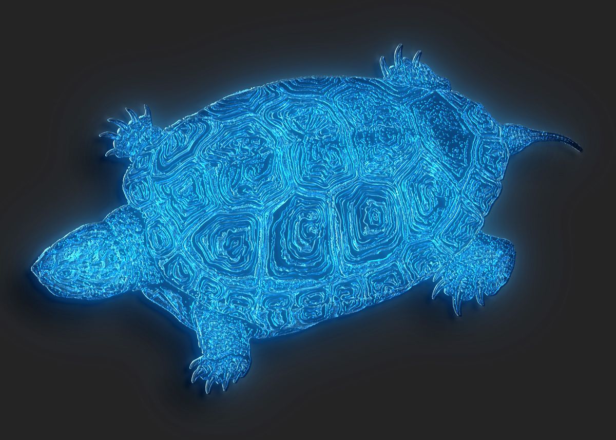 'Turtle' Poster by Urrutia German | Displate