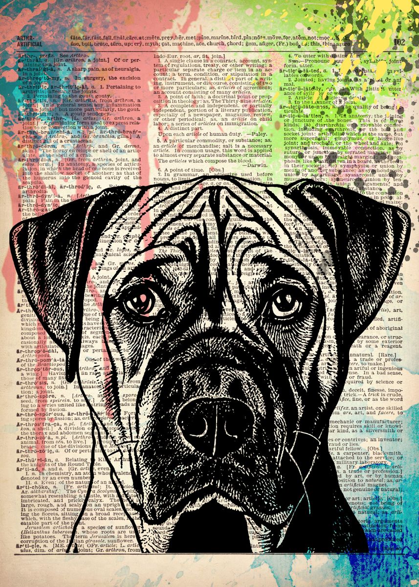 'Boerboel Dog line drawing ' Poster, picture, metal print, paint by Art ...