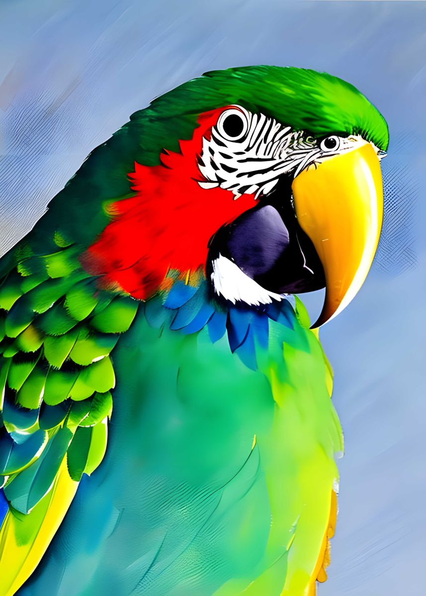 'Colorful parrot' Poster, picture, metal print, paint by Neckebroeck ...