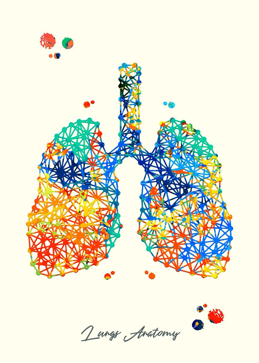'Lungs Anatomy' Poster, picture, metal print, paint by Vincent Vorce ...