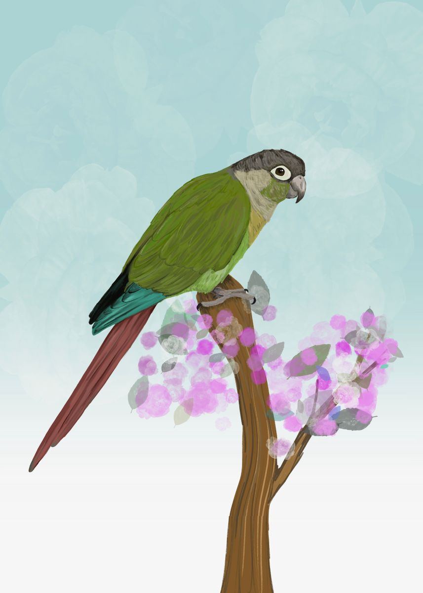 'Greencheeked conure' Poster, picture, metal print, paint by Bianca ...