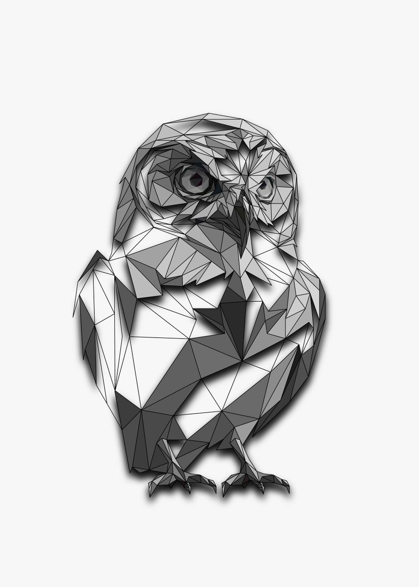 'Owl Lowpoly Half Wireframe' Poster, picture, metal print, paint by ...