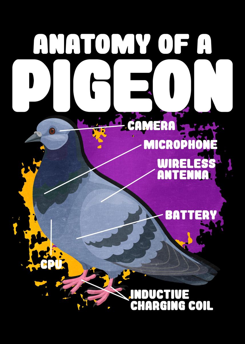'Anatomy Of A Pigeon' Poster, picture, metal print, paint by Hexor ...