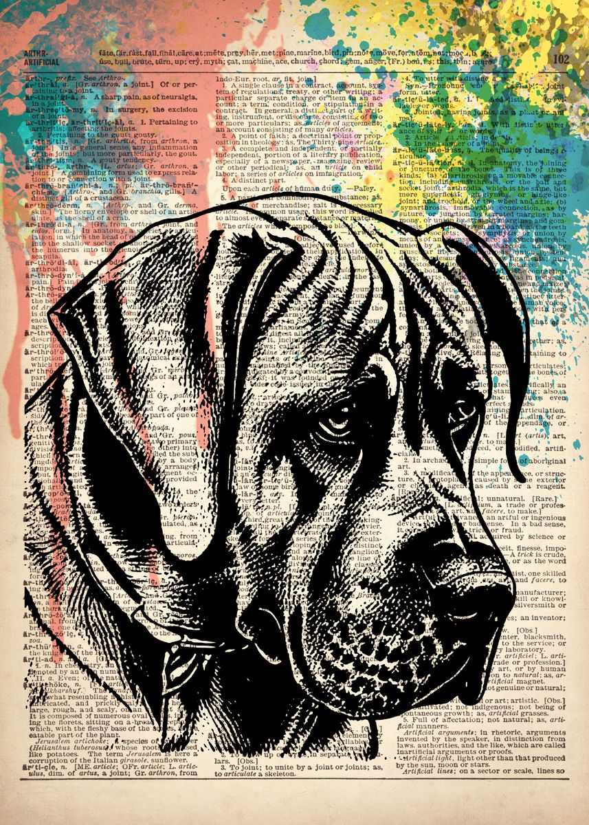 'Boerboel Dog ILLUSTRATION' Poster, picture, metal print, paint by Art ...