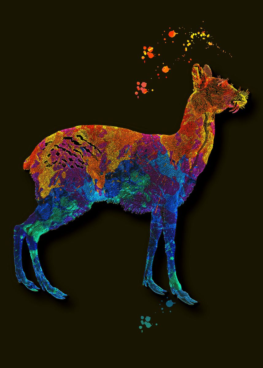 'Siberian musk deer' Poster by Nick Cournoyer | Displate