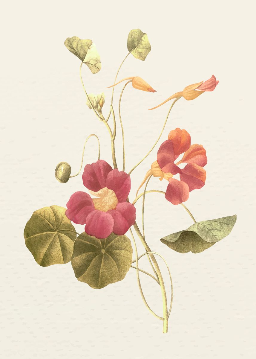 'Floral Flower' Poster, picture, metal print, paint by Space Nature ...