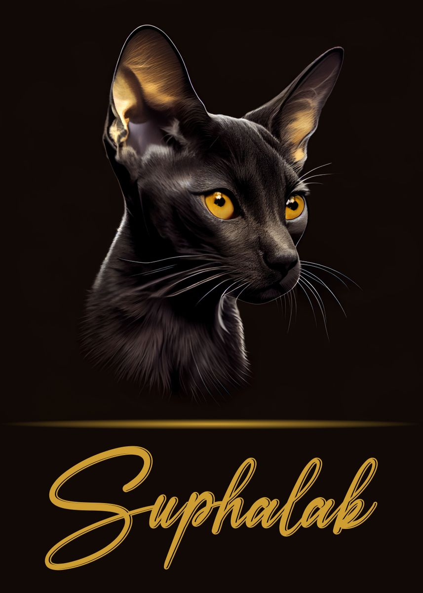 'Suphalak' Poster, picture, metal print, paint by Artistic Paradigms ...