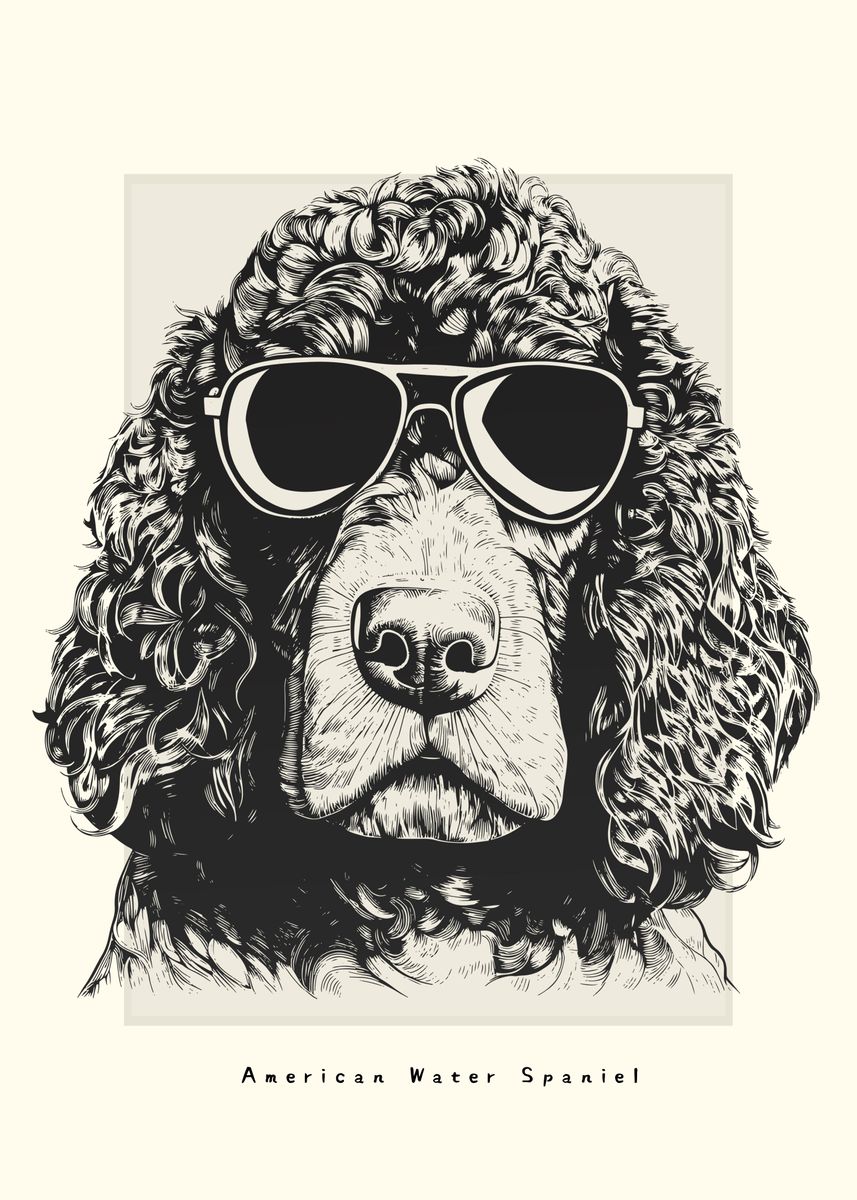'American Water Spaniel ' Poster by Rafael Dxgn | Displate
