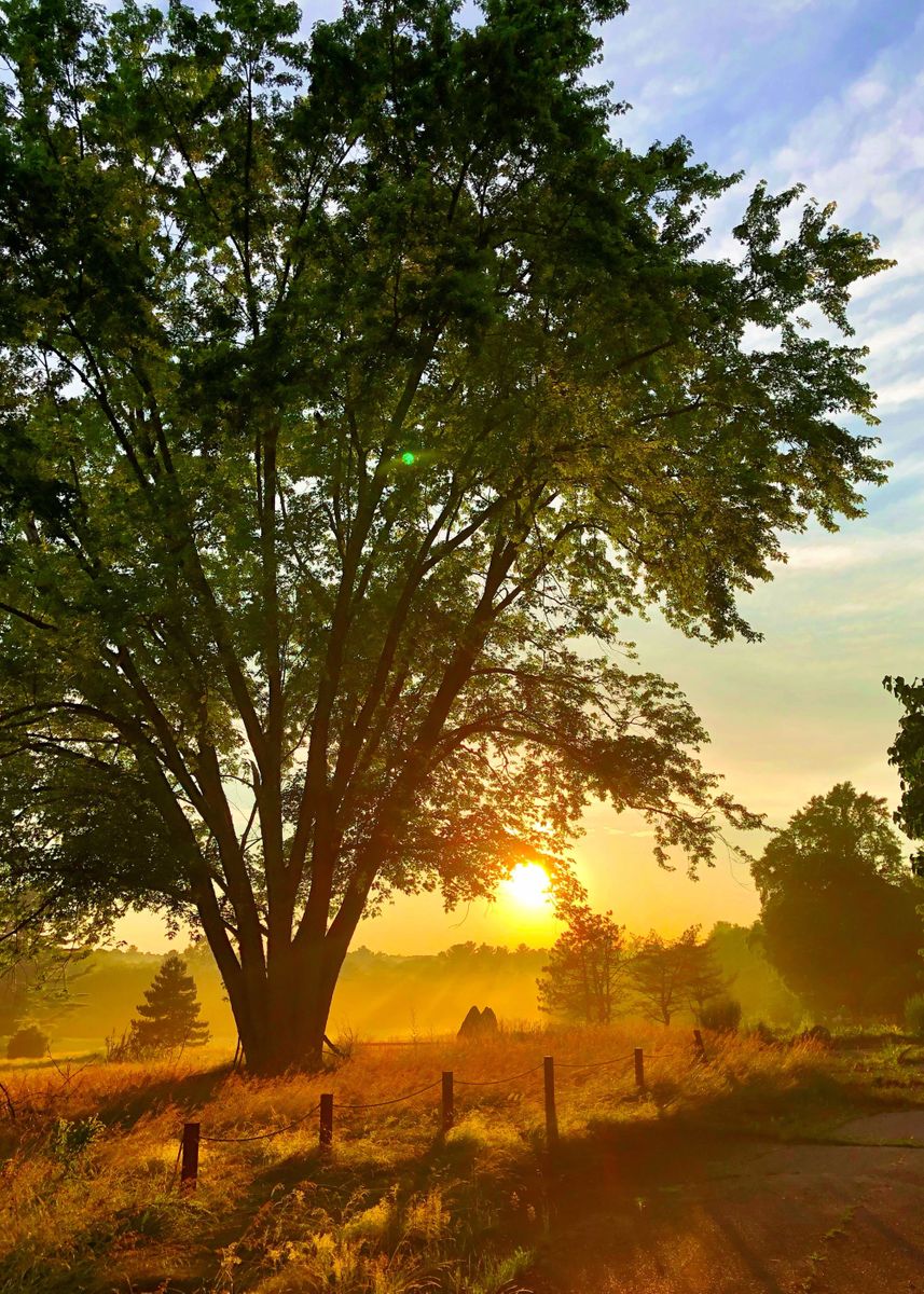 'Sunrise' Poster by Rijis Art | Displate