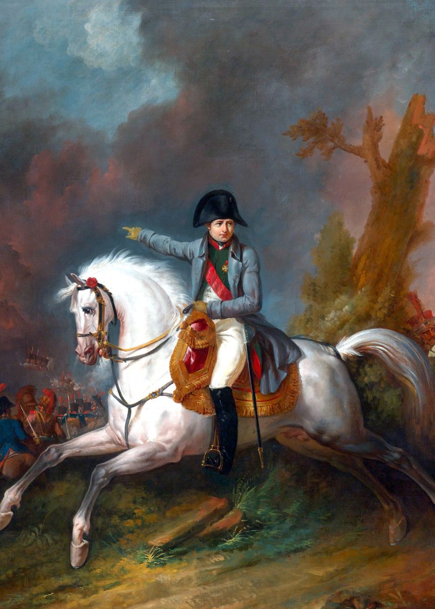 'Napoleon in Battle' Poster, picture, metal print, paint by ...