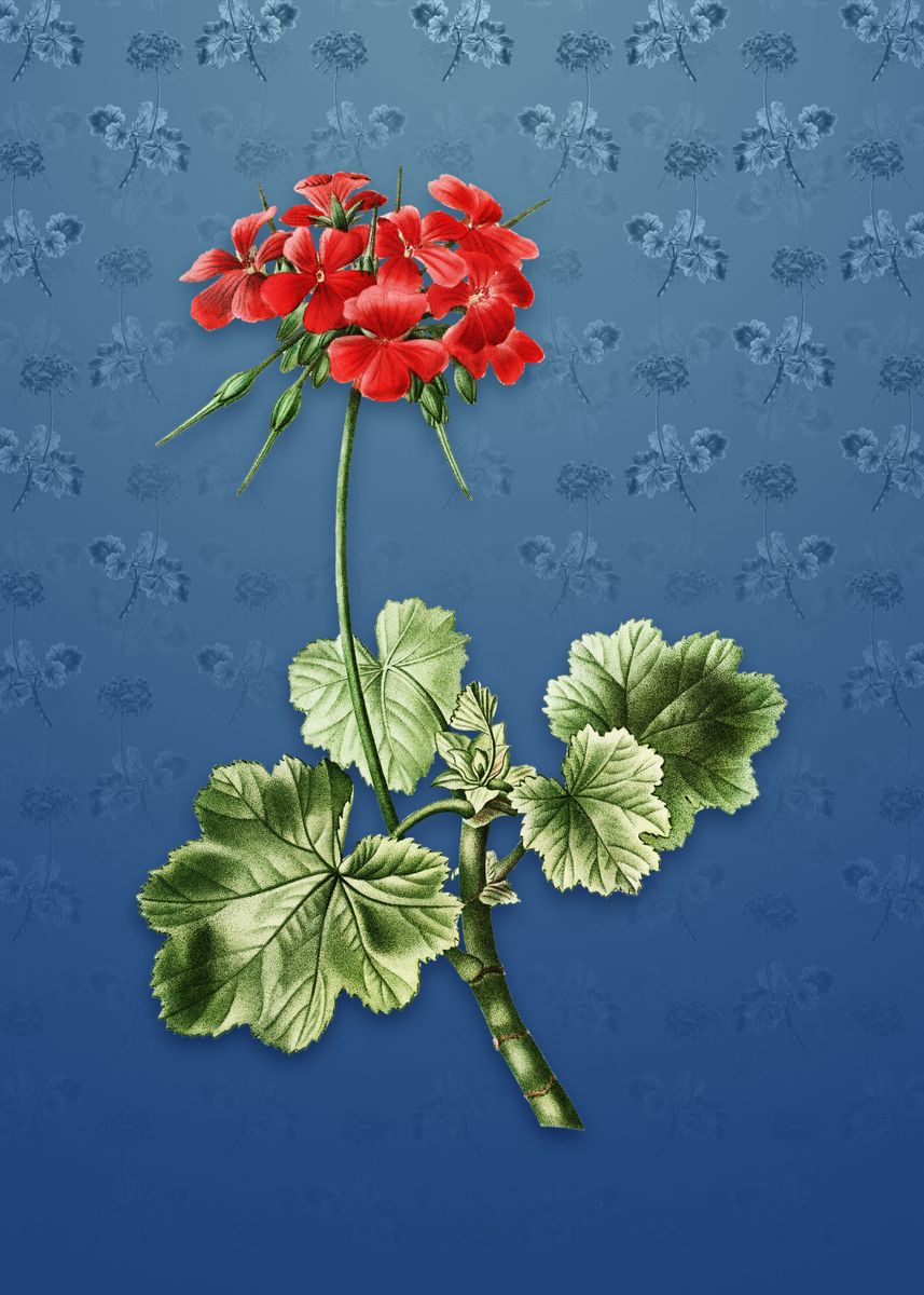 'Vintage Scarlet Geranium' Poster, picture, metal print, paint by Holy ...