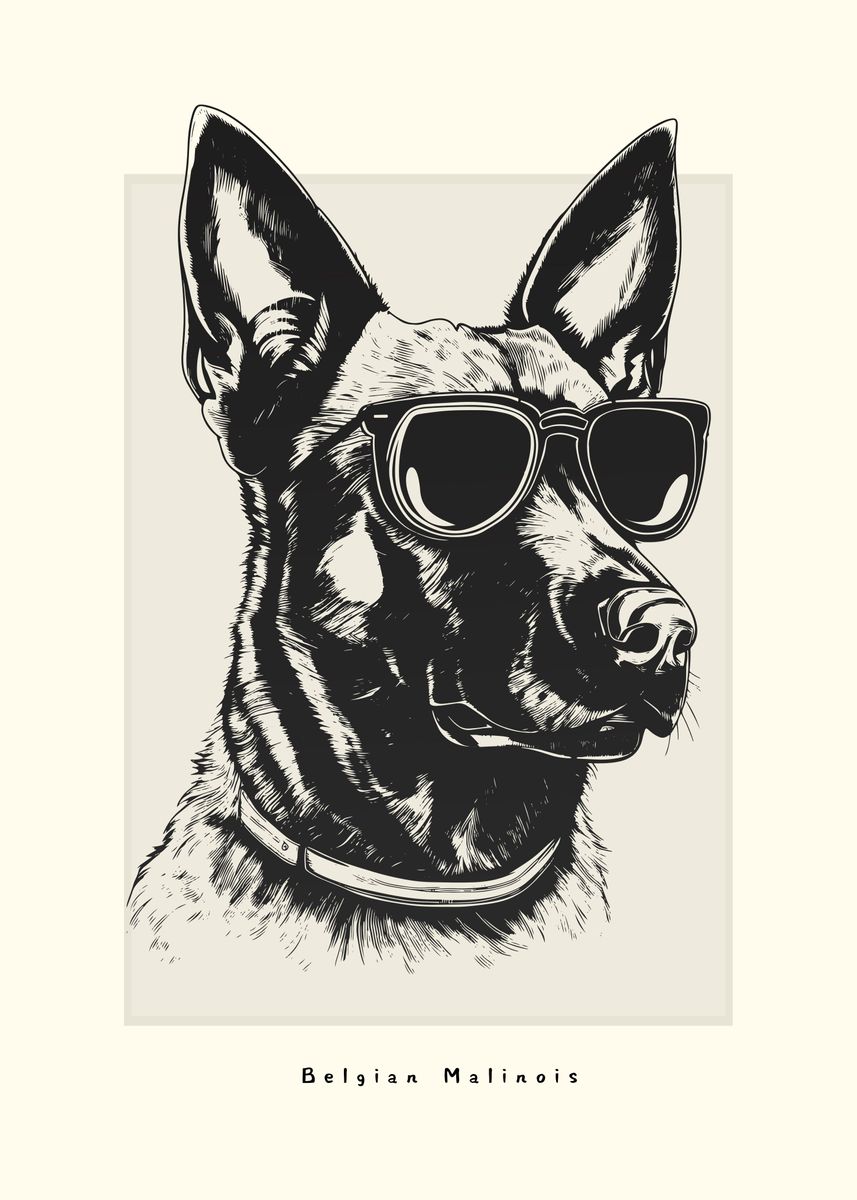 'Belgian Malinois Sketch' Poster, picture, metal print, paint by Rafael Dxgn | Displate