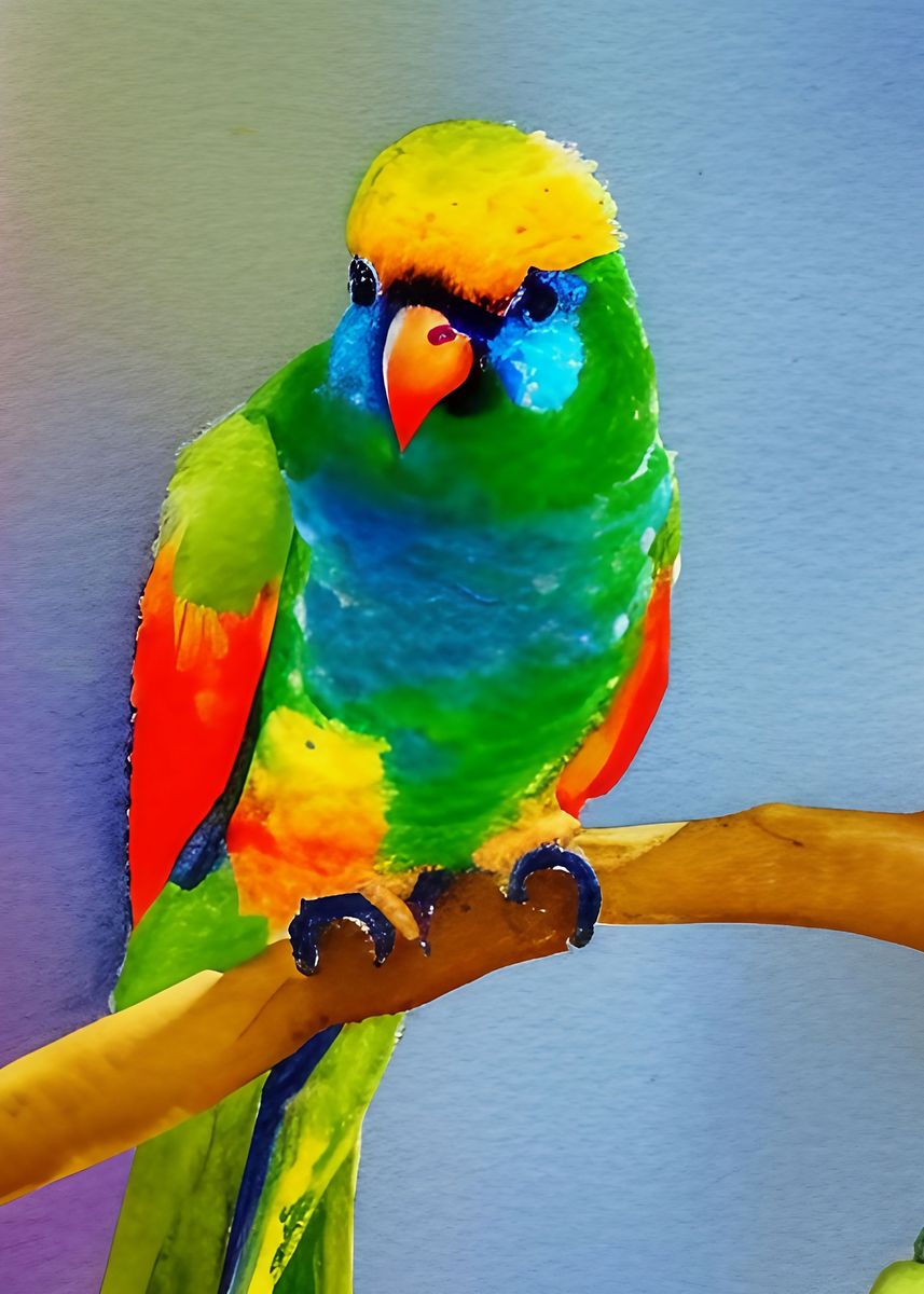 'A colorful lorikeet' Poster, picture, metal print, paint by Sloka ...