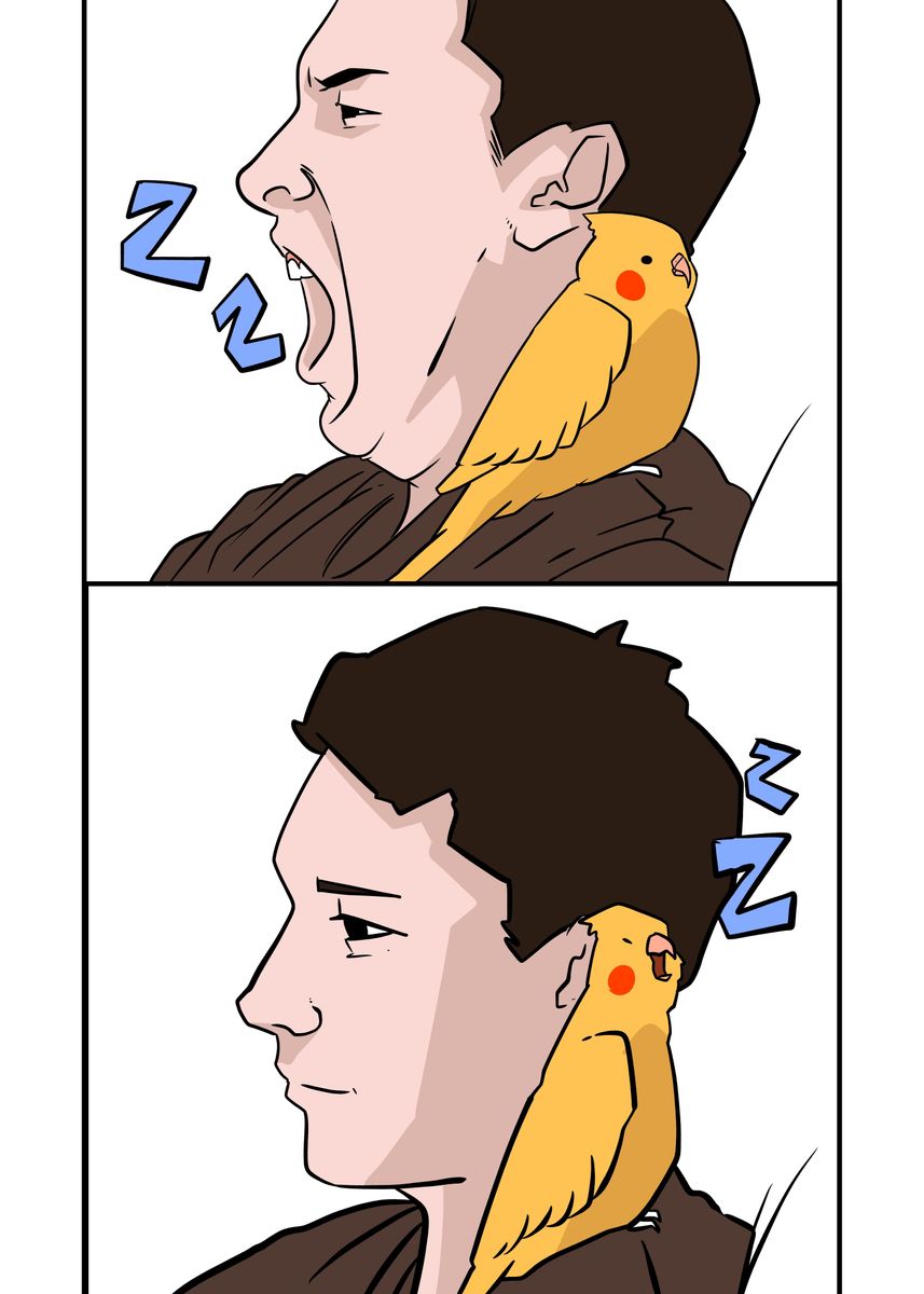 'funny bird meme' Poster, picture, metal print, paint by hafis ...