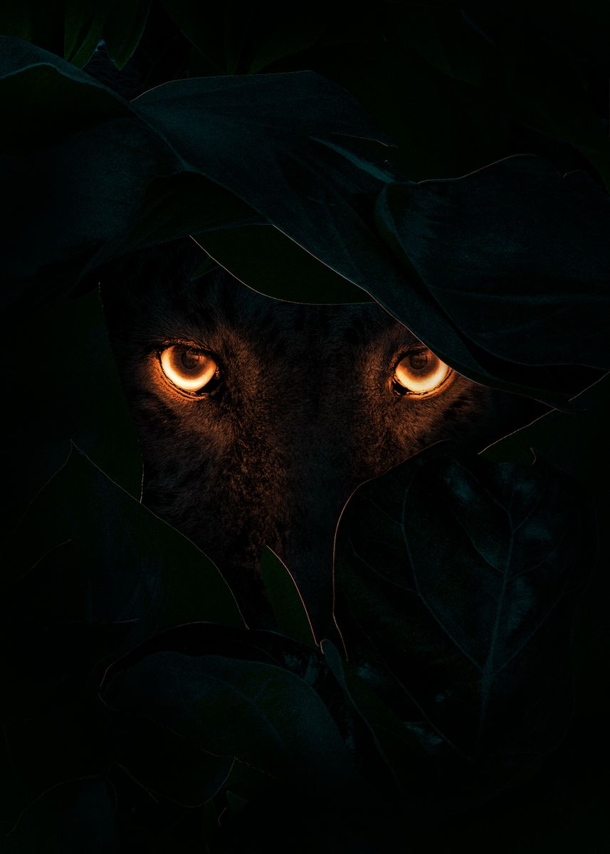 'Night Vision ' Poster, picture, metal print, paint by Azagane Ismail ...