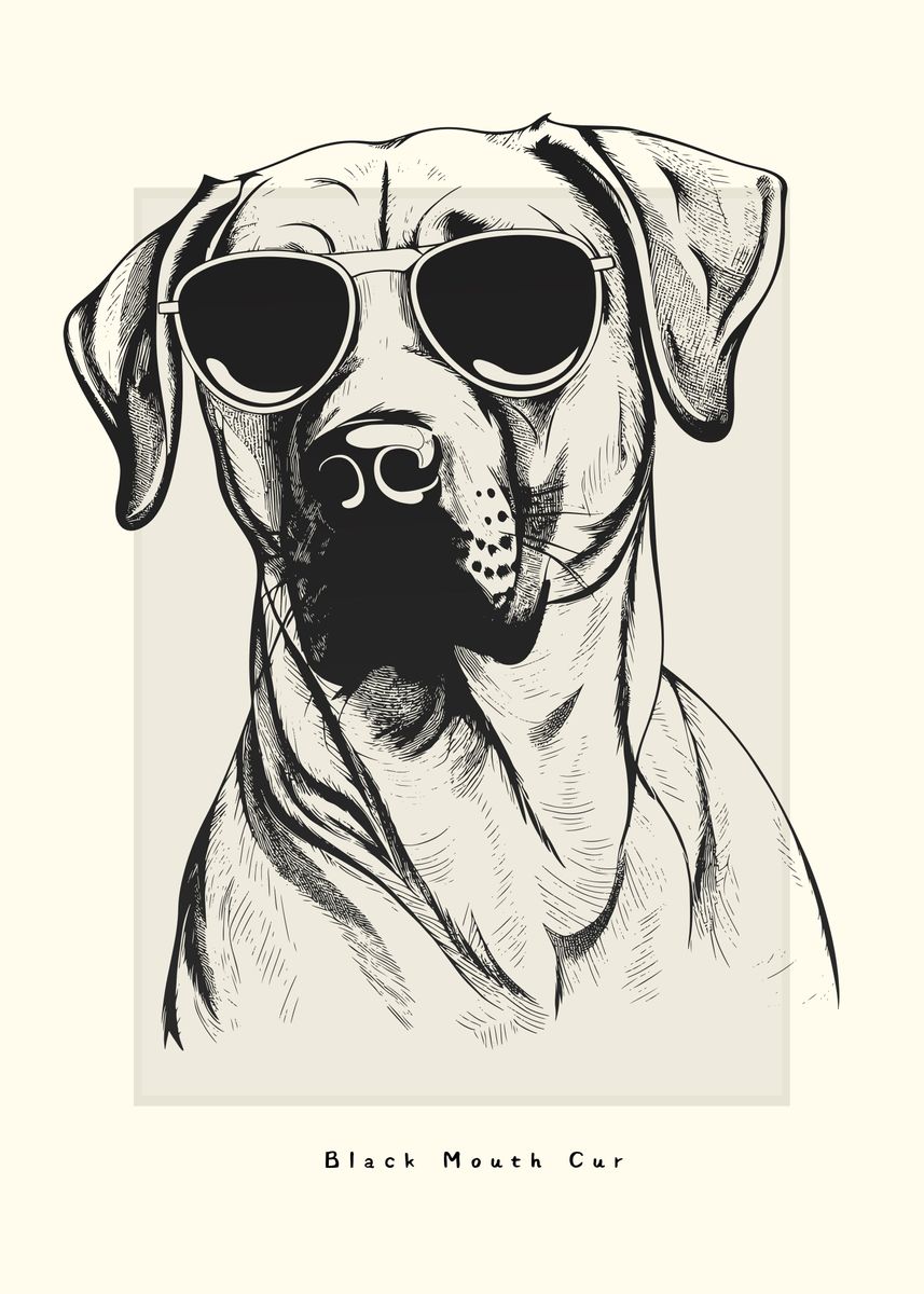 'Black Mouth Cur Sketch' Poster, picture, metal print, paint by Rafael ...