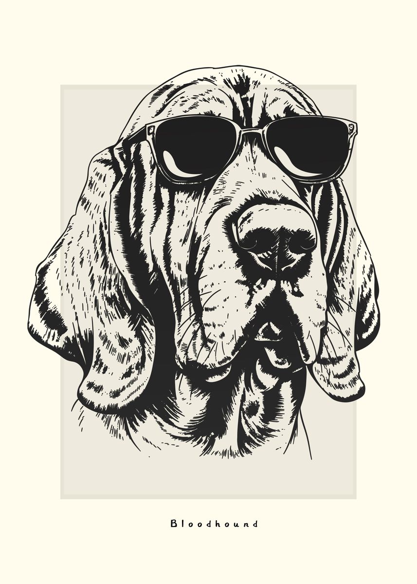 'Bloodhound Illustration' Poster, picture, metal print, paint by Rafael Dxgn | Displate