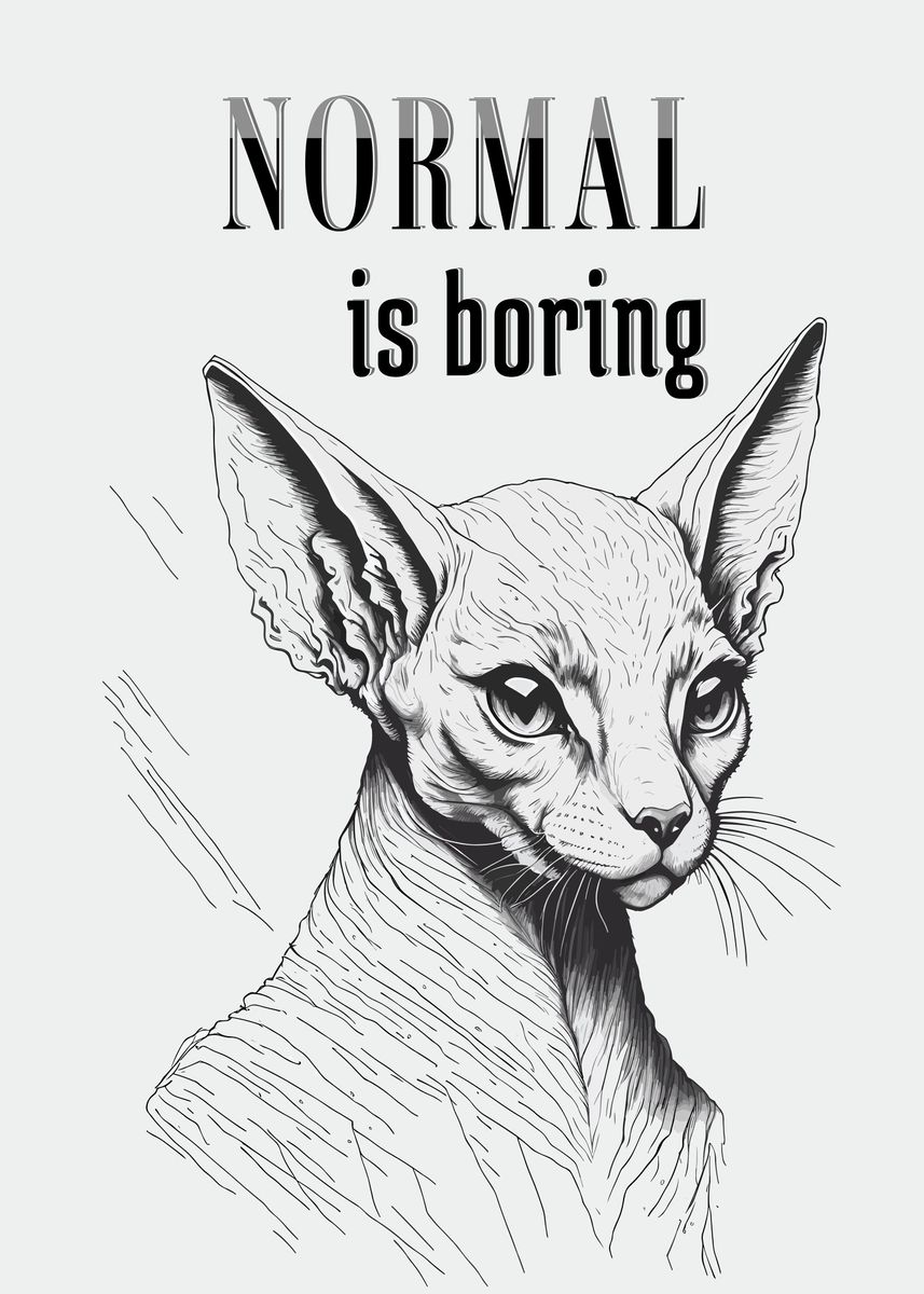 'Normal Is Boring Cat' Poster, picture, metal print, paint by Jovana ...