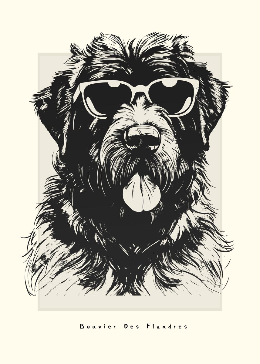 'Bouvier Des Flandres Cool' Poster, picture, metal print, paint by ...