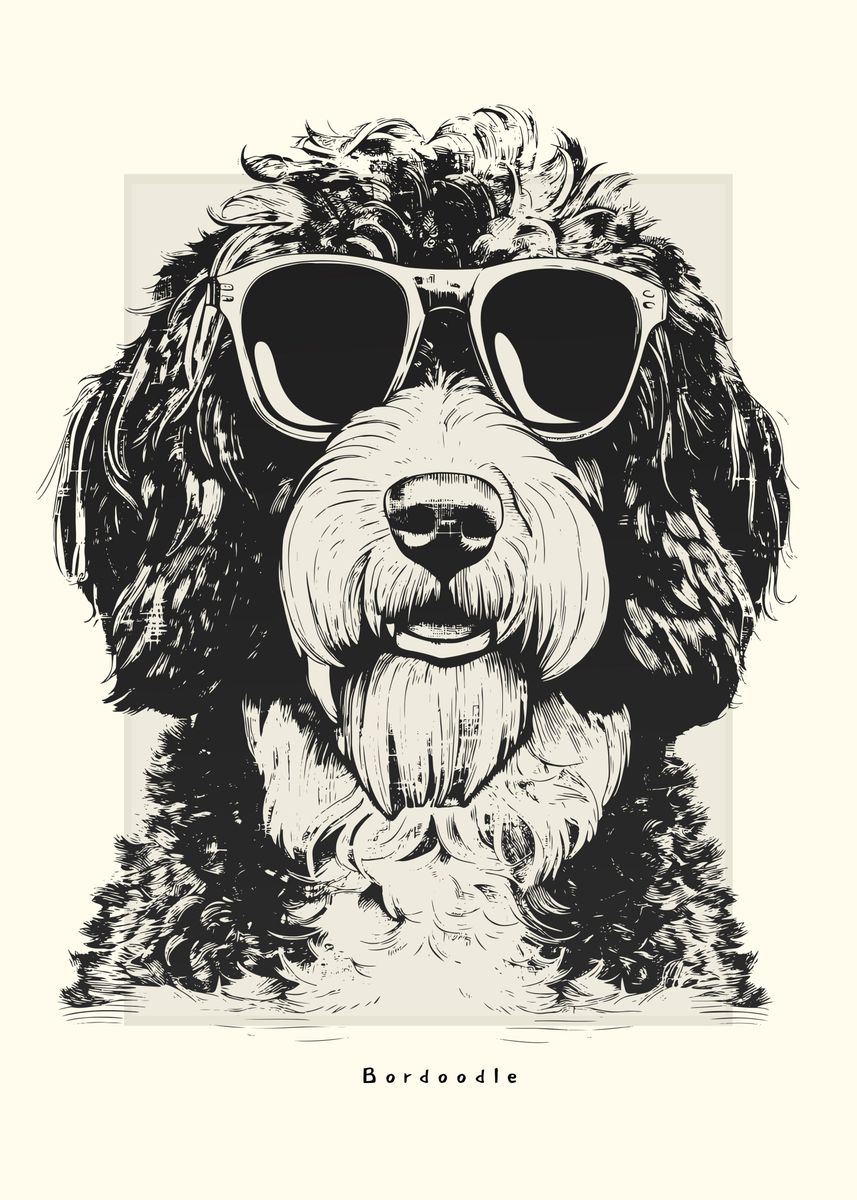 'Bordoodle Illustration' Poster, picture, metal print, paint by Rafael ...
