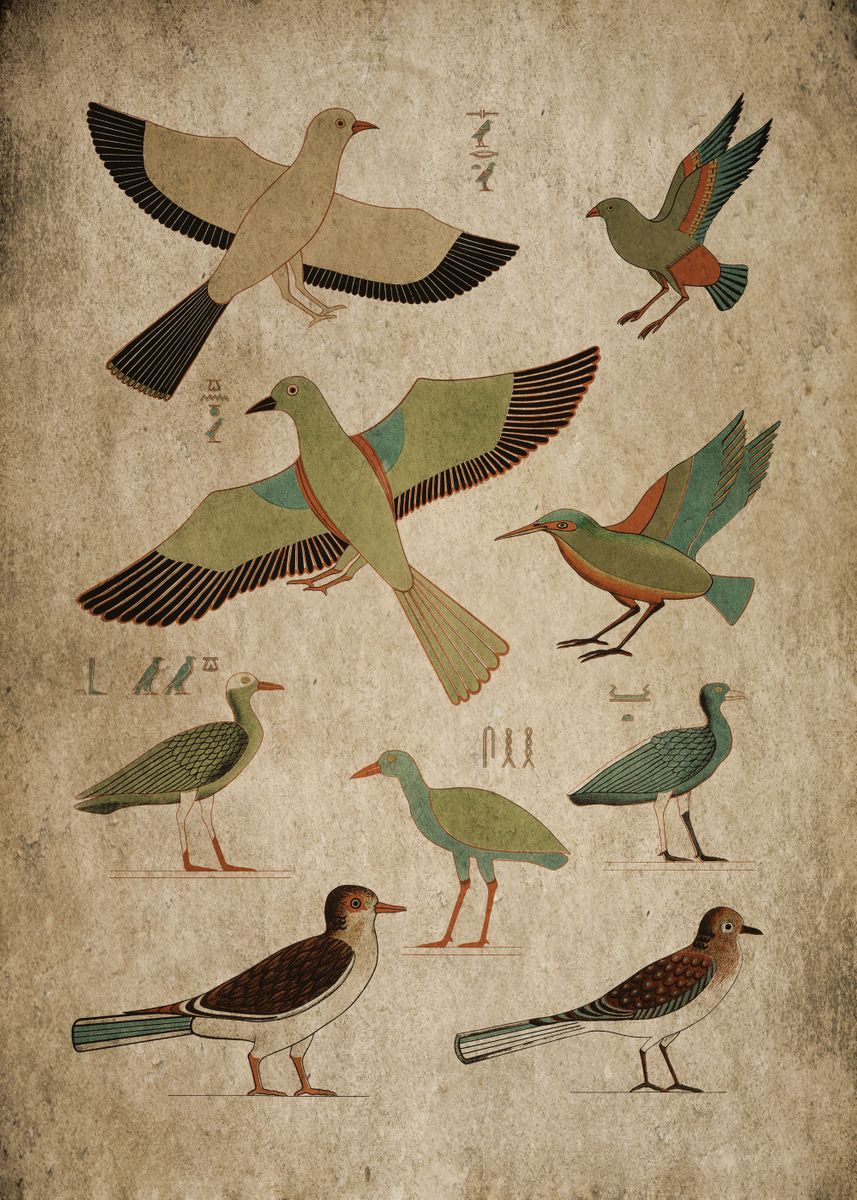 'Egypt Bird Drawing 2' Poster by XandYart | Displate