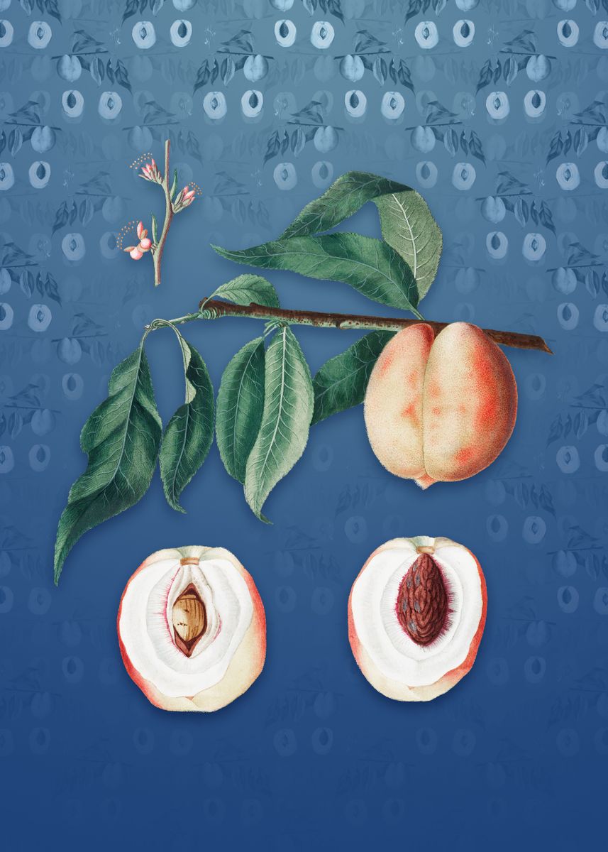 'Peach on Bahama Blue' Poster, picture, metal print, paint by Holy Rock ...