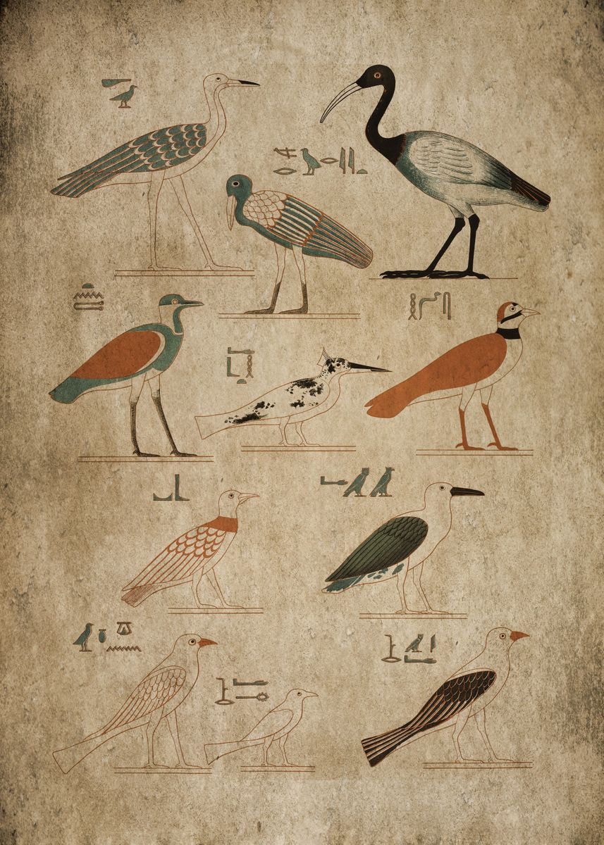 'Egypt Bird Drawing' Poster, picture, metal print, paint by XandYart ...