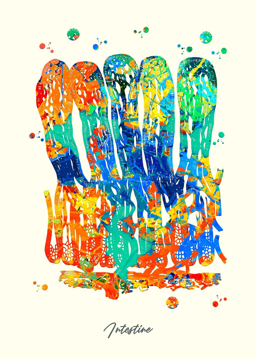 'Intestine' Poster, picture, metal print, paint by Vincent Vorce | Displate