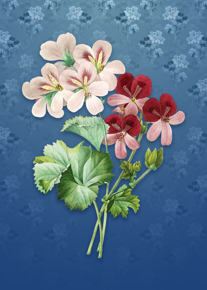 'Cranes Bill Geranium' Poster, picture, metal print, paint by Holy Rock ...