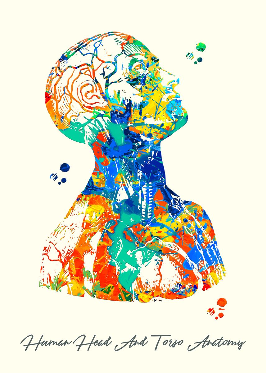 'Human Head And Torso ' Poster by Vincent Vorce | Displate
