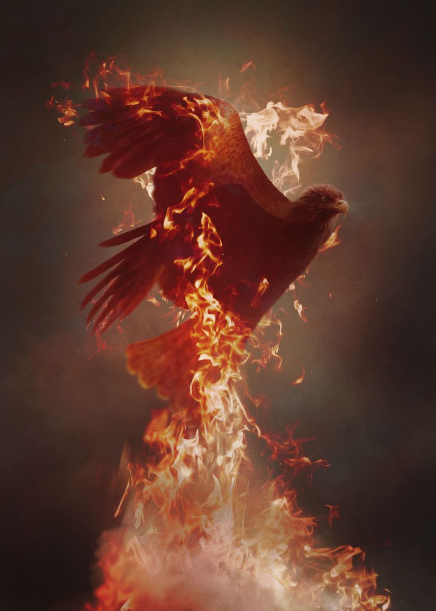 'The Fire Bird' Poster, picture, metal print, paint by Sarah Burge ...
